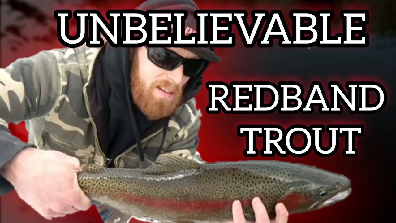 Unbelievable Redband Trout - Prineville Reservoir Oregon Trout Fishing ...