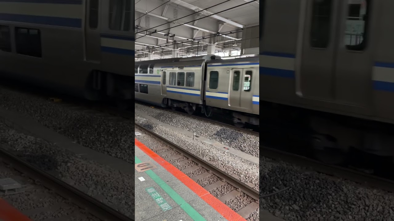 配9744レ、EF64 1031＋E217系Y1編成 豊田 - YouTube