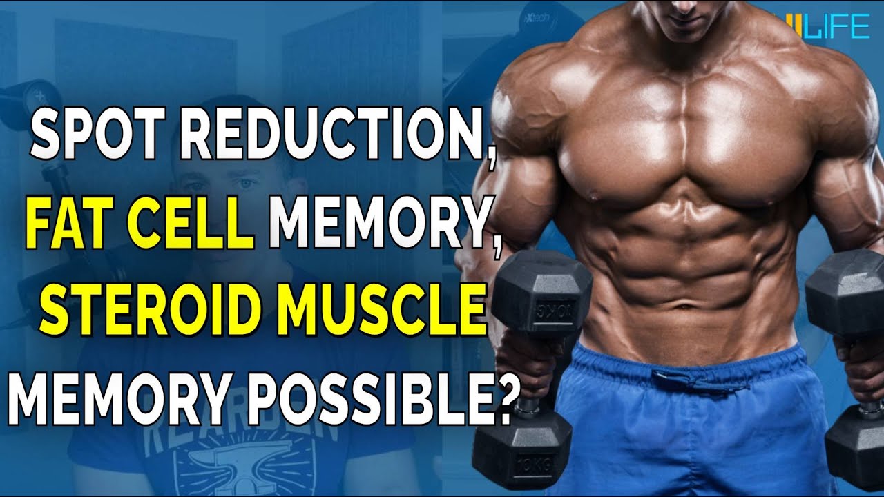 Can we spot reduce fat? Do fat cells have memory? Do steroids produce ...