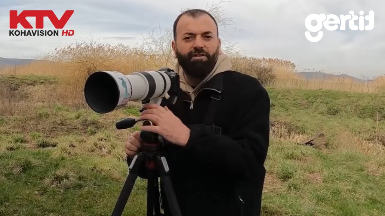 Shpendët shtegtarë nga habitatet ujore | Wildlife me Arian Mavriqin ...