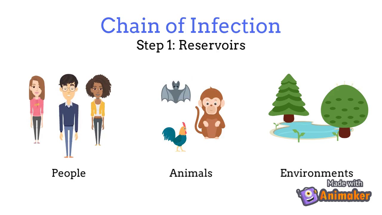 The Chain of Infection: The Transfer of Disease - YouTube