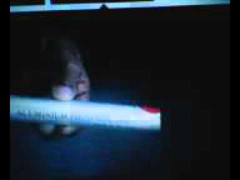 Bed bug kill using aluminium phosphide - YouTube