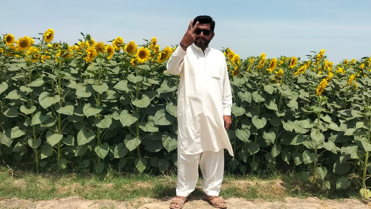 national park 🏞️ lal sunhara with chidiya Ghar ki sher ki bahut maja ...