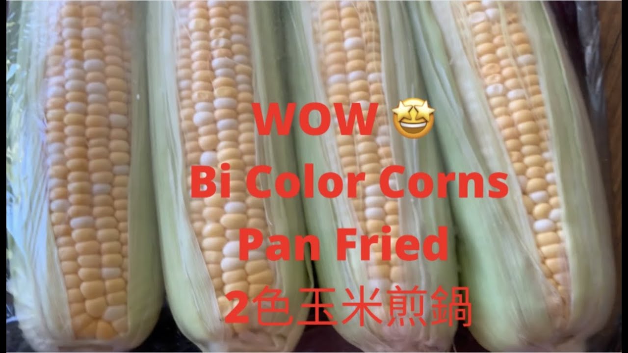 Bi Color Corn Pan Fried 超級甜的雙色玉米付油炸 Siêu Ngọt 2 Màu Bắp Chiên # ...