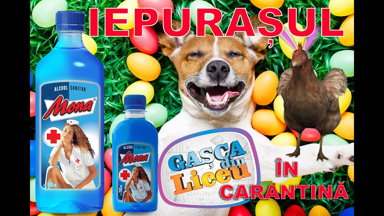 IEPURASUL IN CARANTINA | Cum va arata Pastele anul acesta - YouTube