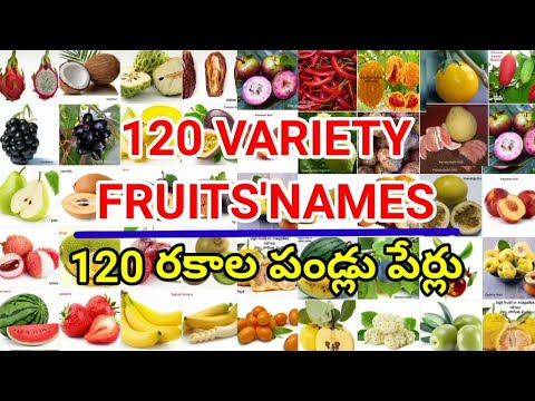 #fruits names in English and Telugu - YouTube
