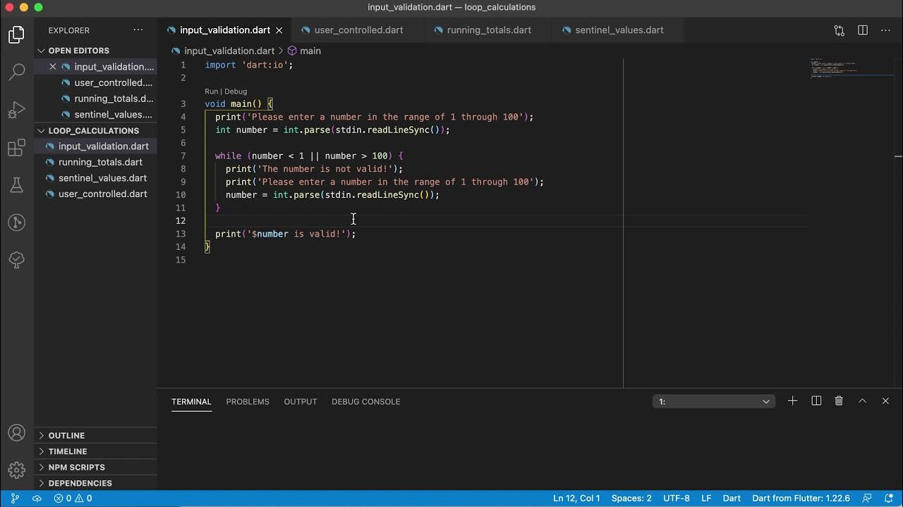 Dart Flow Control - Input Validation and User Controlled Loops - YouTube