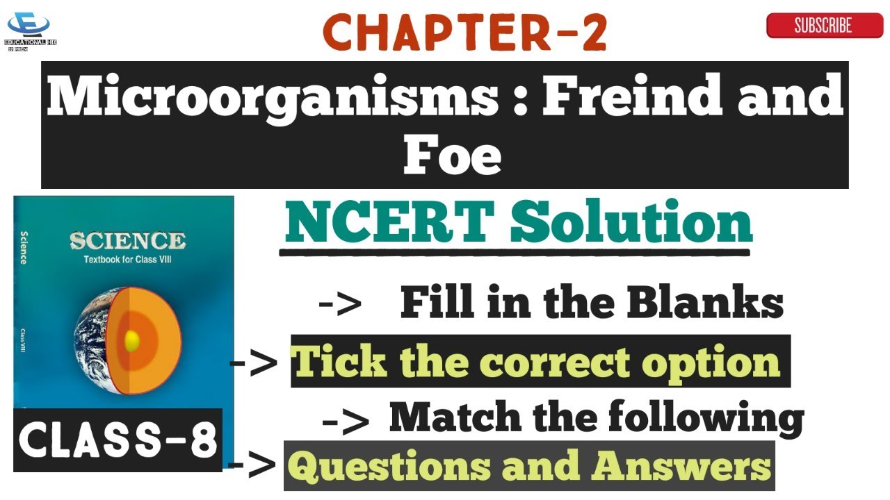 Class 8 Science NCERT Solution Chapter-2 | Microorganisms :Freind and Foe | Explained - YouTube