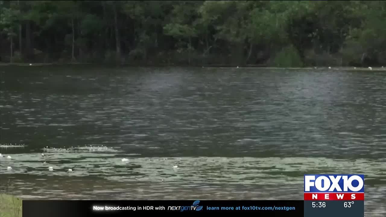 State Rep. Shane Stringer files bill to reopen Big Creek Lake - YouTube