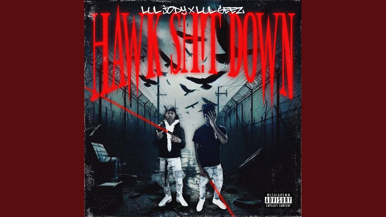Hawk Shit Down - YouTube