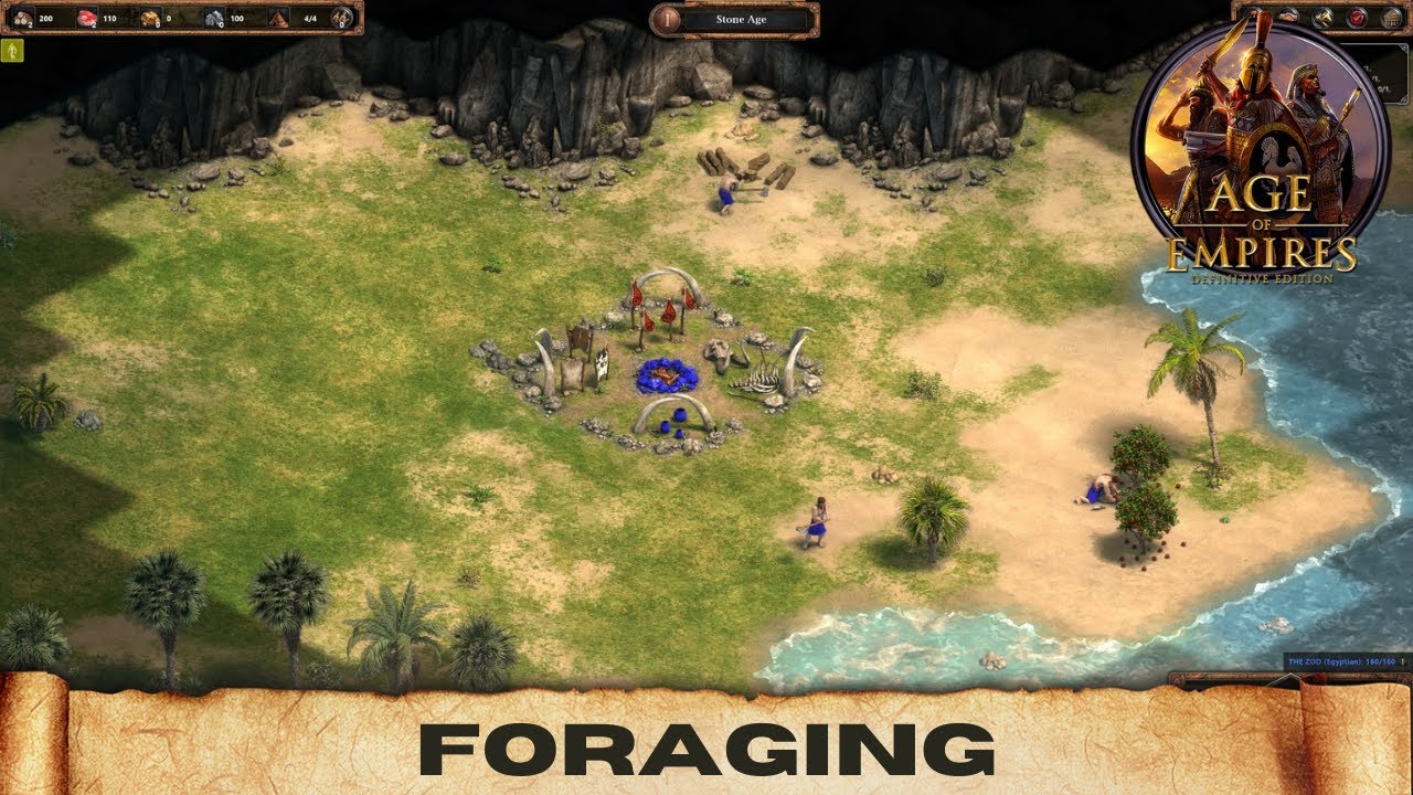 Age Of Empires Definitive Edition - FORAGING (Hardest) - YouTube
