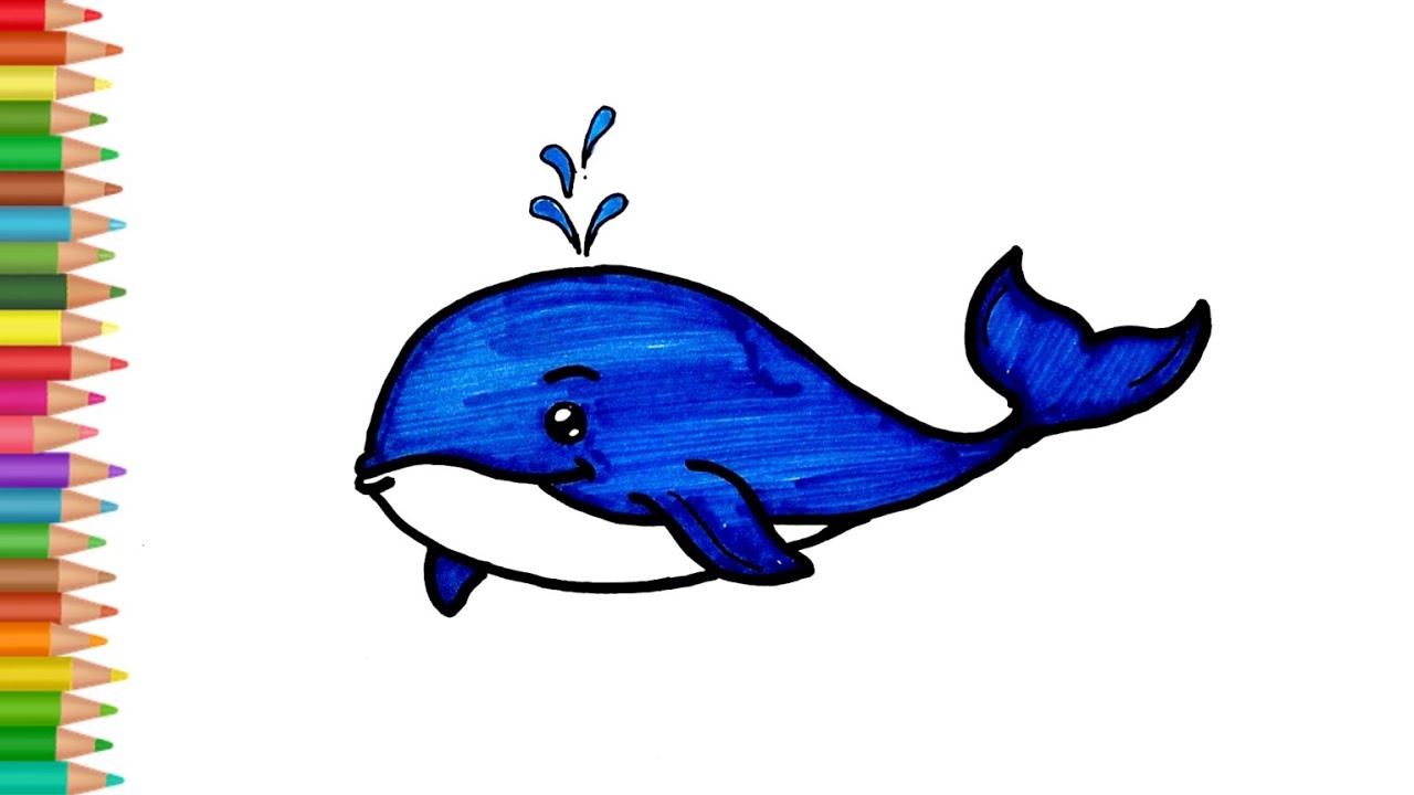 Menggambar ikan paus // how to draw whale - YouTube
