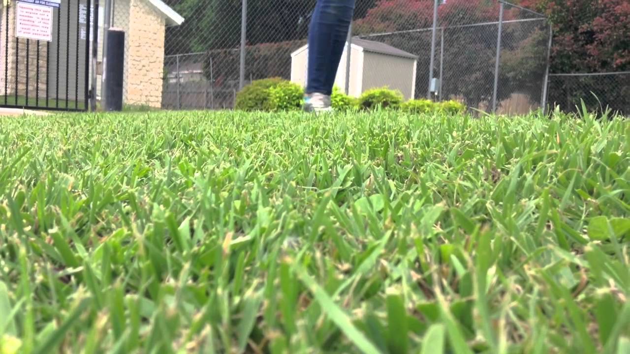 Mermaid Secrets Season 1- Episode 4 - YouTube