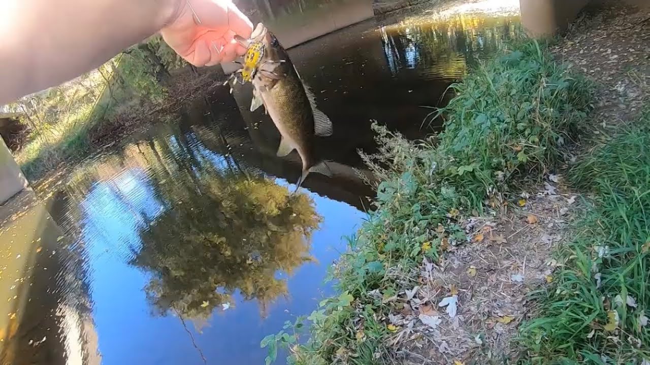 Throwing More Weird Lures - YouTube