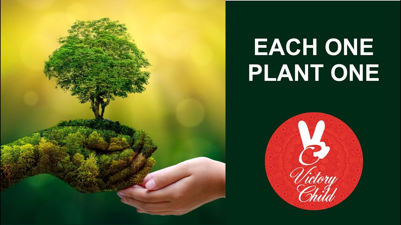 beauty of nature | eACH oNE pLANT oNE | TREE - YouTube