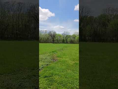 train going through Bell buckle Park Bell buckle Tennessee - YouTube