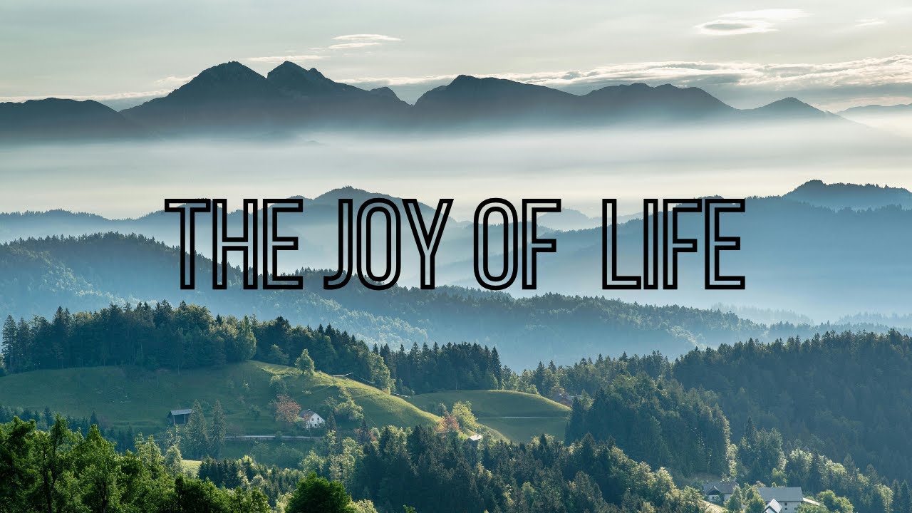 w47k3r.m4x - The Joy Of Life (offical video) - YouTube