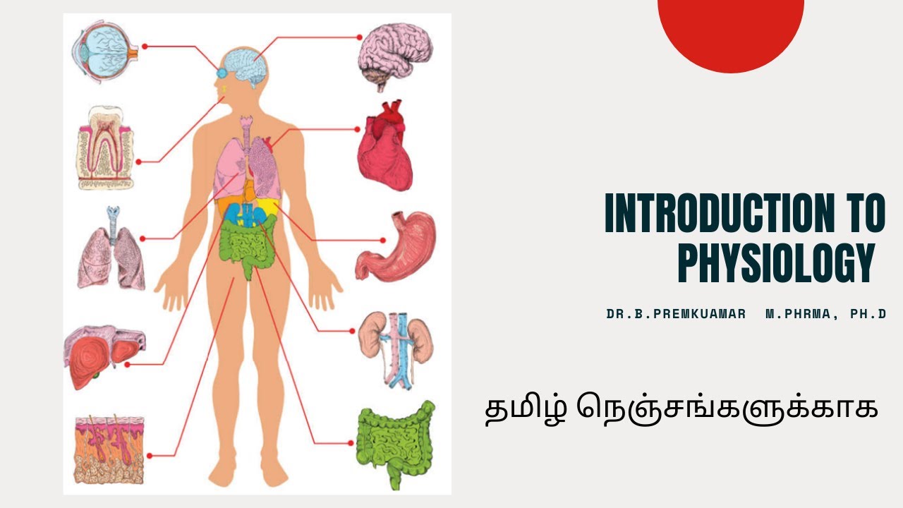 Introduction To Physiology Tamil YouTube introduction-to-physiology-tamil-youtube