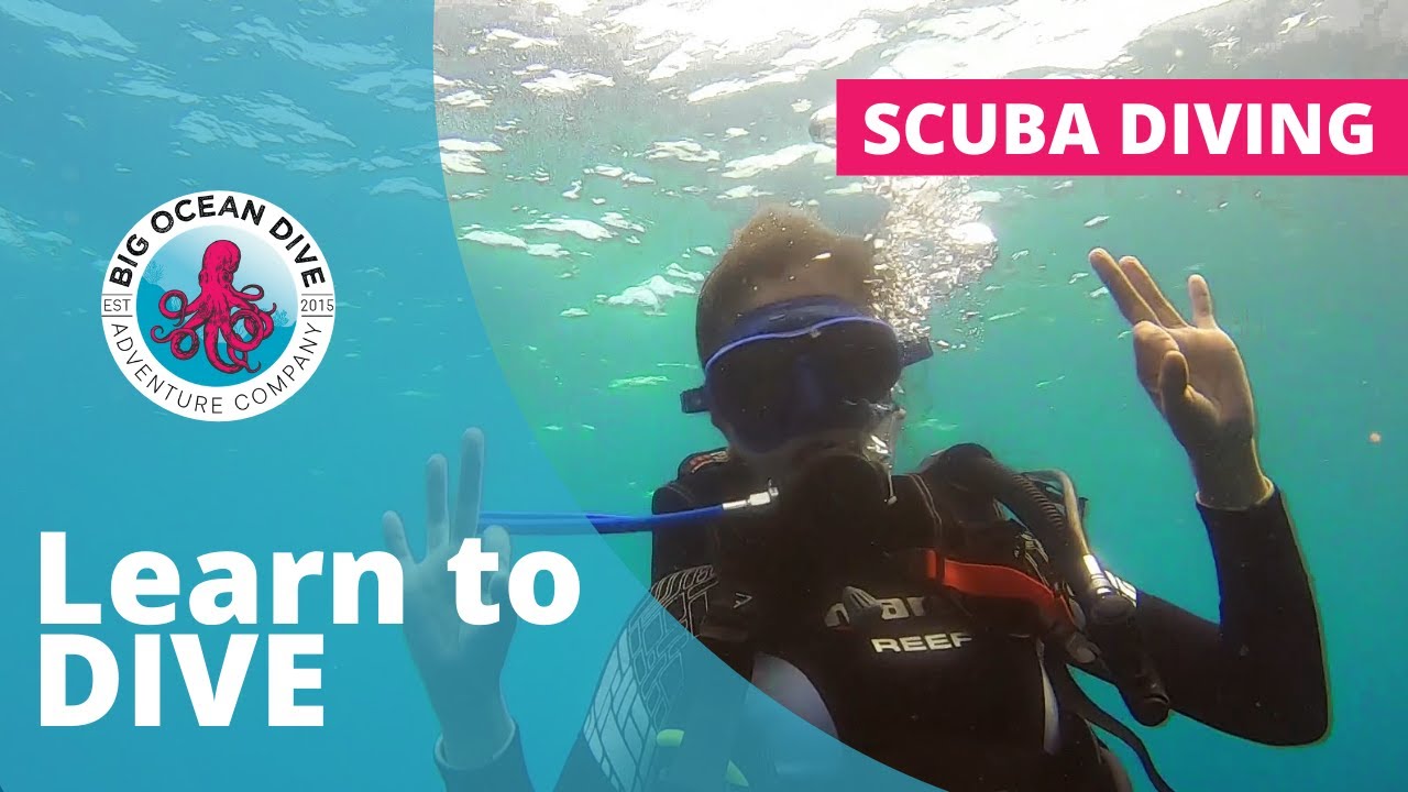 Scuba Diving: Learn to Dive - Big Ocean Dive - YouTube