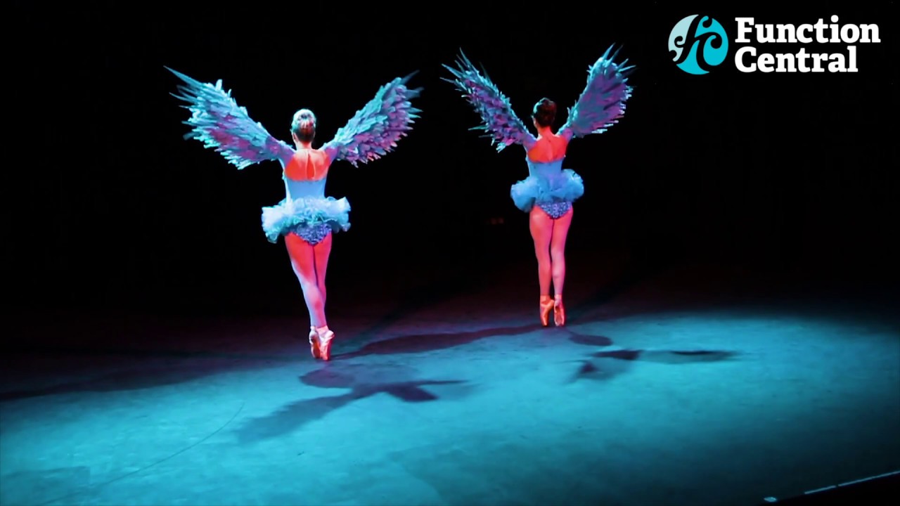Wing To Wing - Ballet Dancers | London | Hire from Function Central ...