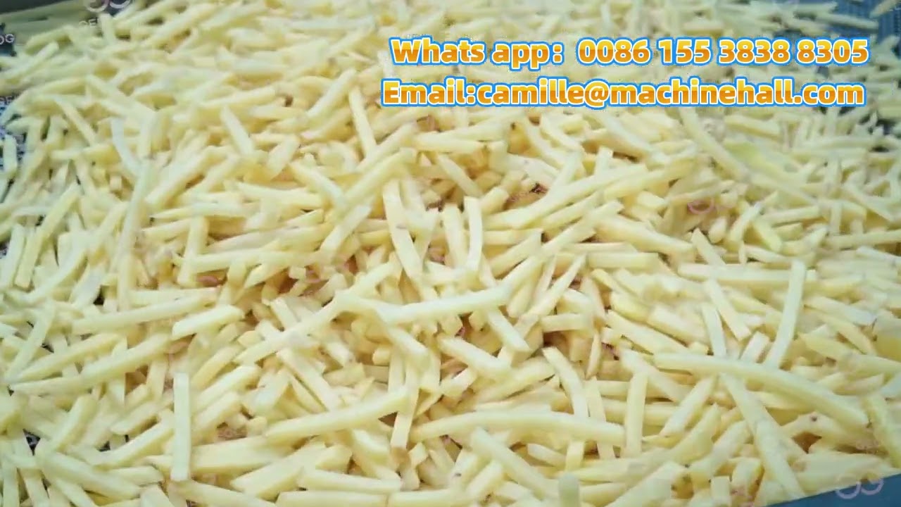 Línea de producción de papas fritas congeladas de 150 kg/h - YouTube