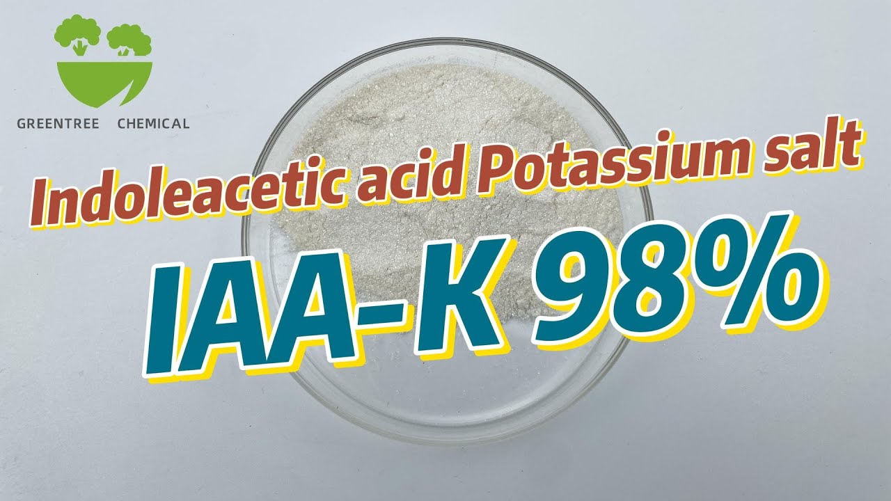 Indoleacetic acid Potassium salt IAA-K 98% CAS No. 2338-19-4 Plant ...