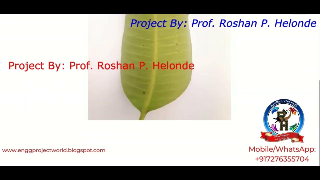 Mango Leaf Disease Detection Using Image Processing With Source Code | Plant Disease Using ...