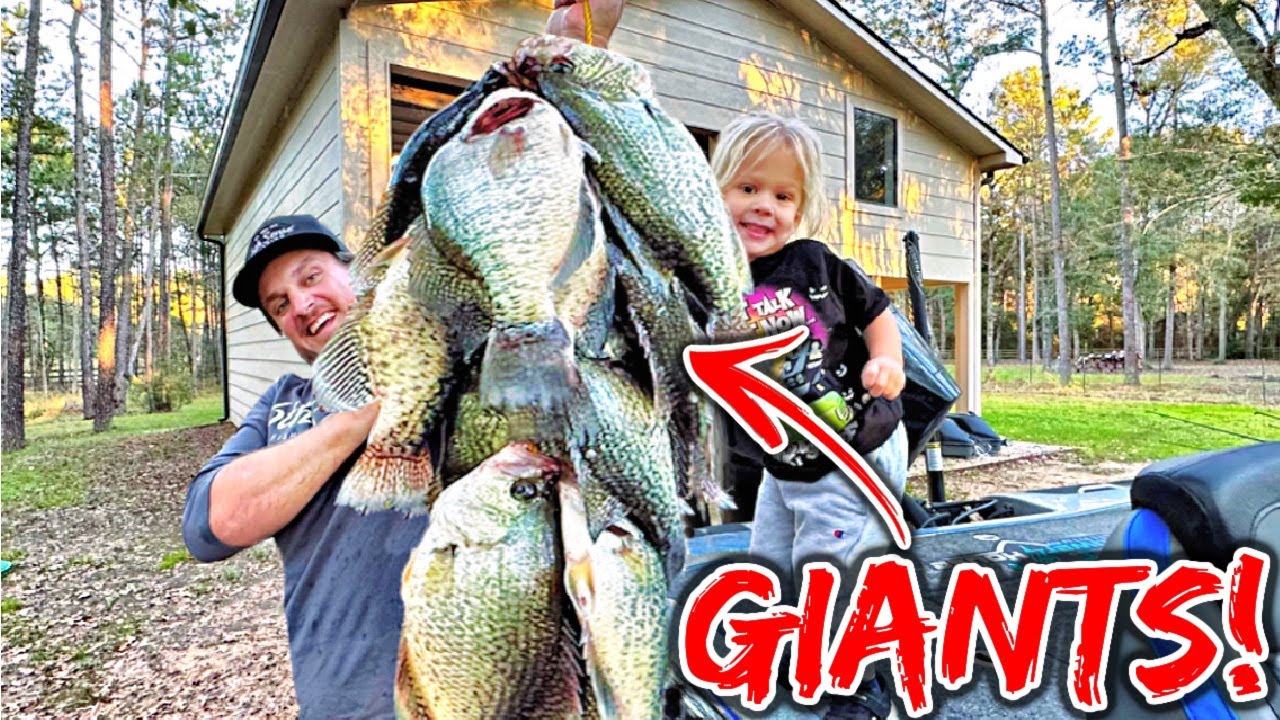 GIANT Winter Crappie are TOO EASY!! (LIVE Livescope Footage) - YouTube