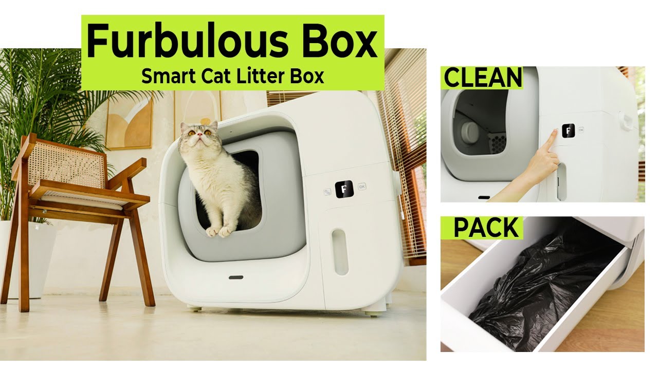 Furbulous｜Furbulous Box, The Auto Clean & Pack Cat Litter Box - YouTube