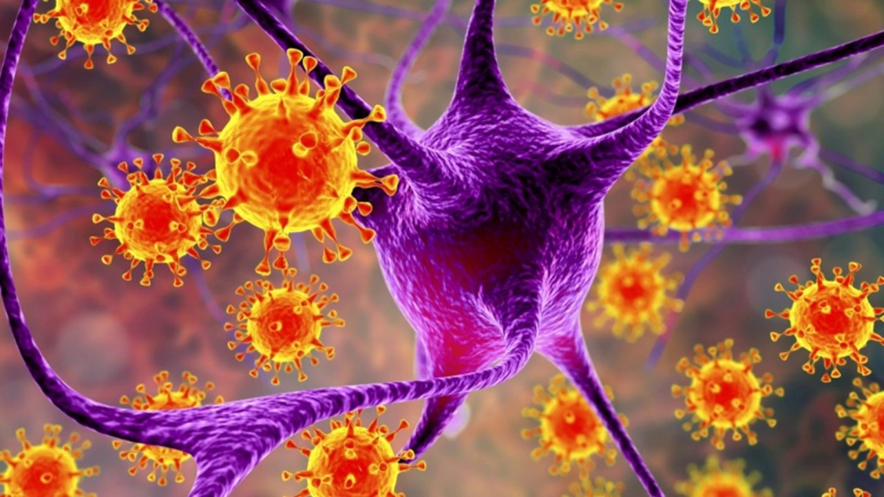 Thomas Luhmann - Corona - YouTube