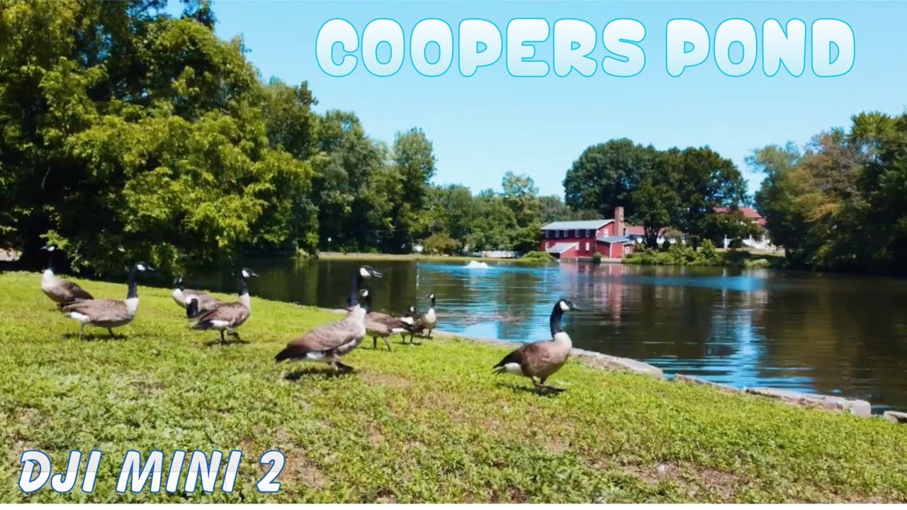 Flight at Coopers pond with my DJI MINI 2 - YouTube