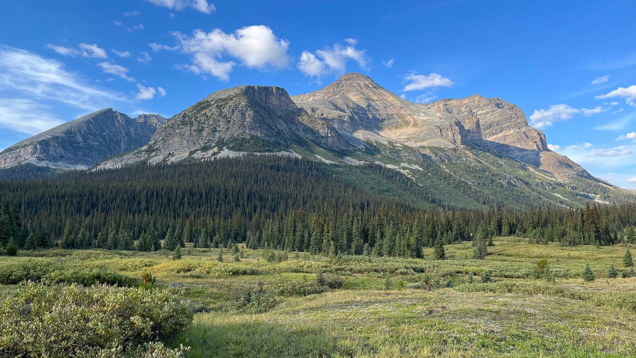 Miette River decommissioned trail backpack day 2! Jasper National Park ...