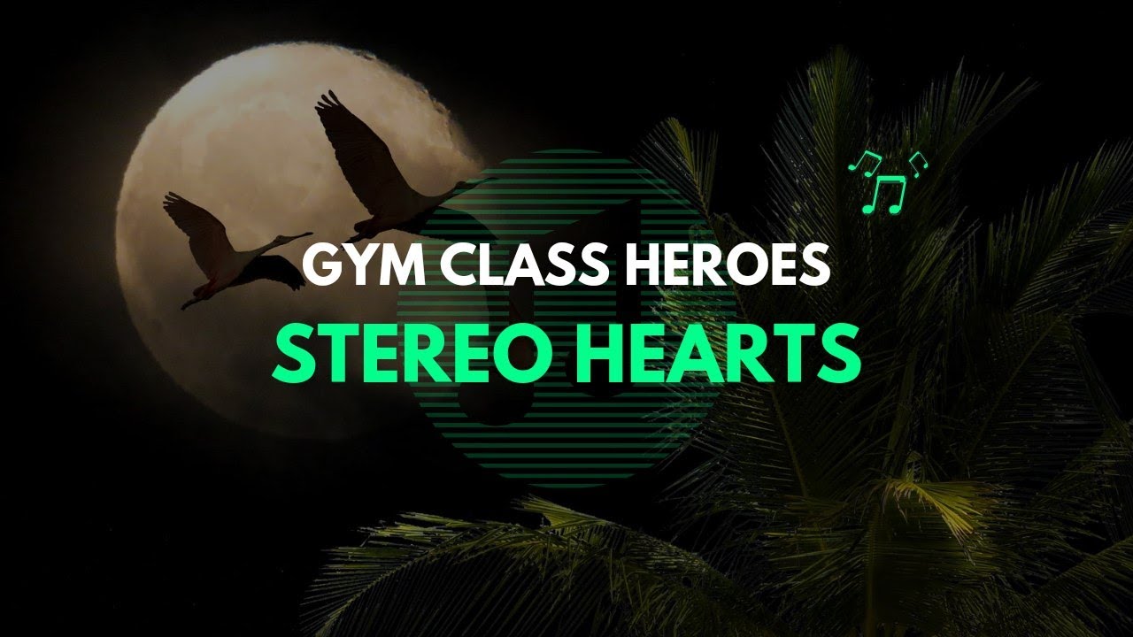 Stereo Hearts- Gym Class Heroes #lyrics - YouTube