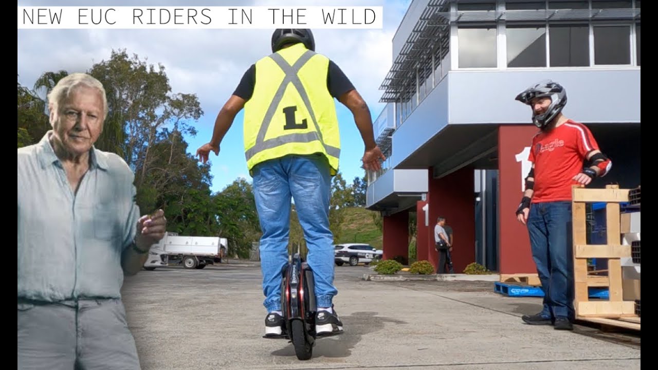 A rare glimpse of a new group of EUC riders in the wild - YouTube