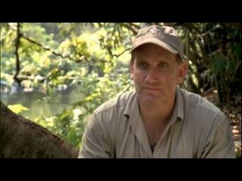 Evolution - Part 3 of 7 - Extinction (PBS Documentary)[HD 720p] - YouTube