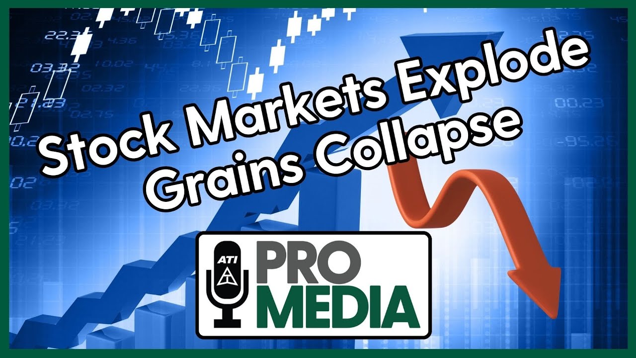 Stock Markets Explode - Grains Collapse - YouTube