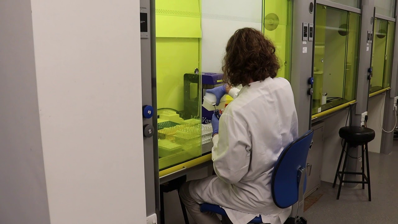 Charles River Laboratories - YouTube