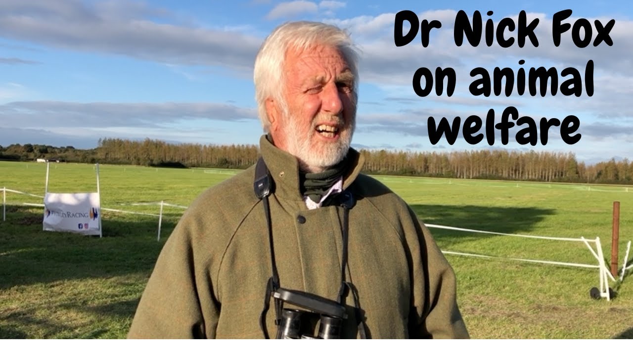 Renowned falcon breeder and researcher Dr Nick Fox answers a very ...