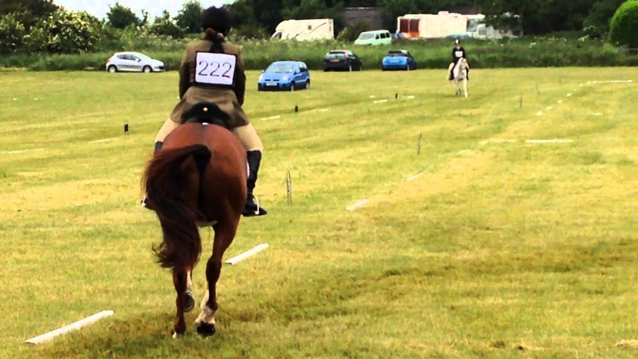 Dressage pony club test:novice 2013 - YouTube