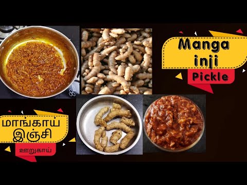 Manga Inji Pickle/ Mango Ginger Pickle/மாங்காய் இஞ்சி ஊறுகாய்/தொக்கு ...