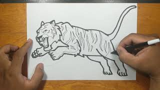 Tiger Pouncing Drawing