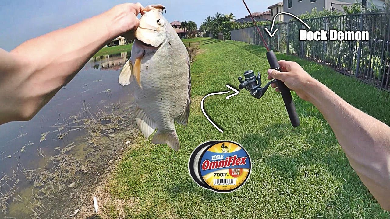 4lb Line Dock Demon Fishing for *HUGE* Tilapia! (Zebco Mini Rod ...