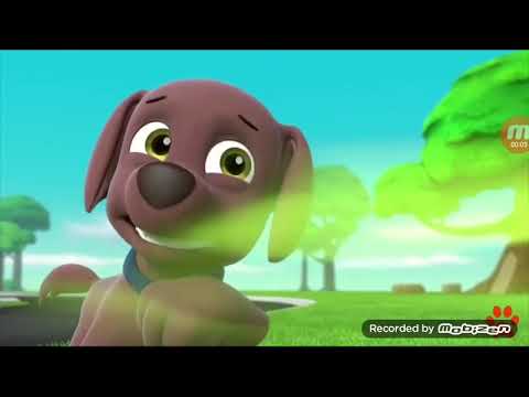 Paw patrol - funny moments - Marshall #04 - YouTube