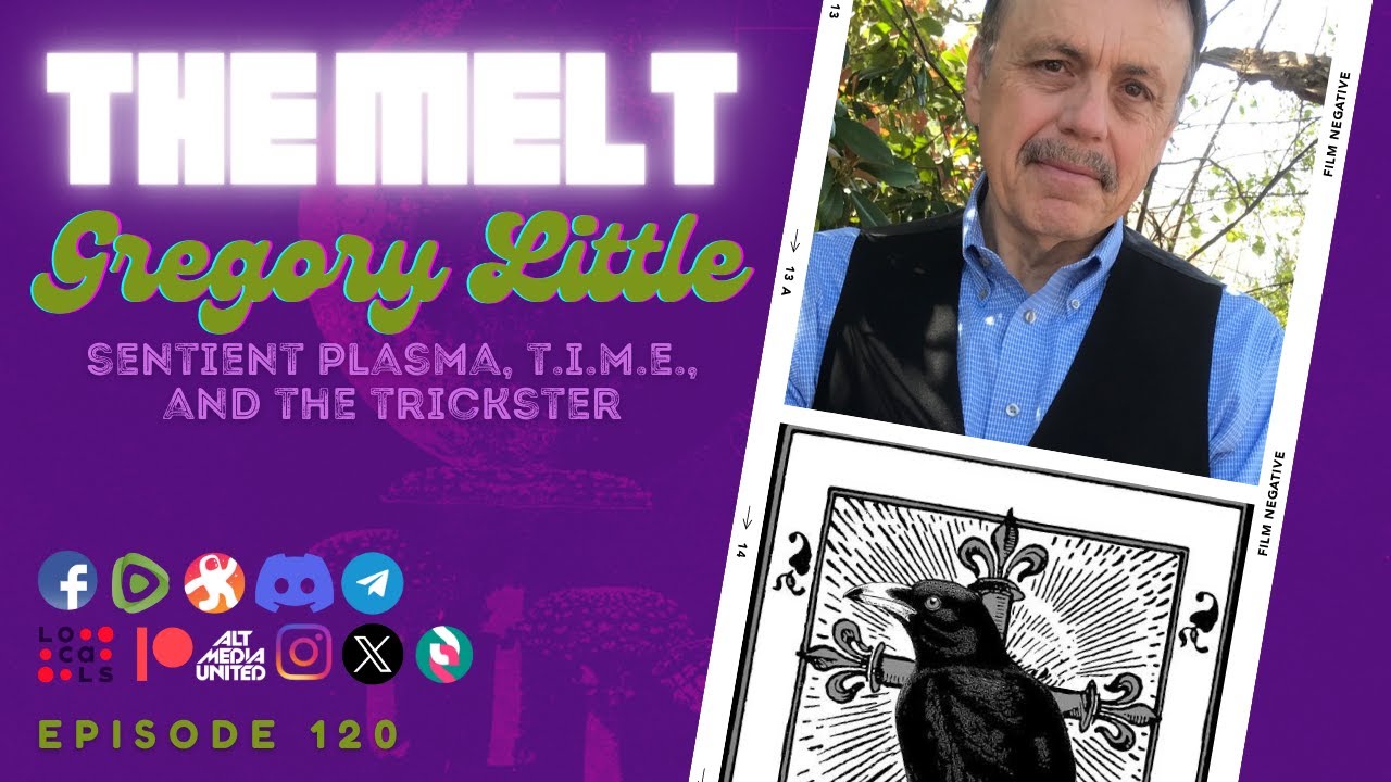 The Melt Episode 120 Gregory Little | Sentient Plasma, T.I.M.E., and ...