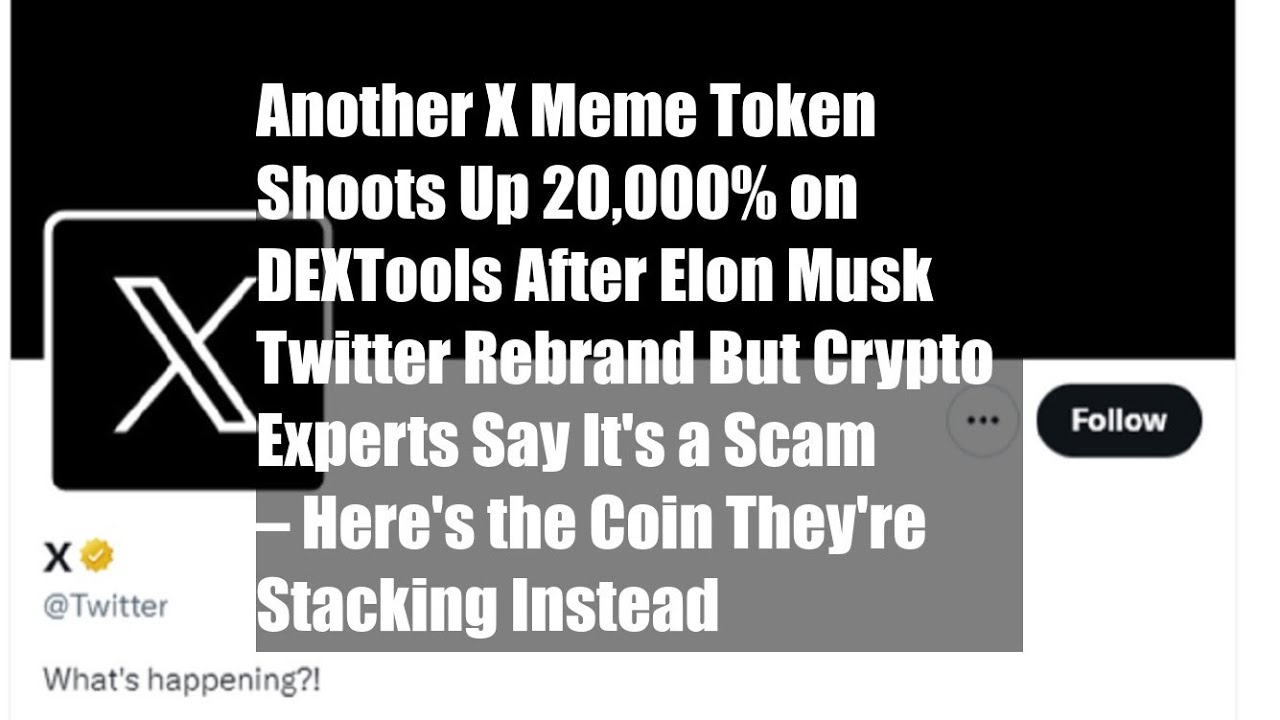 Another X Meme Token Shoots Up 20,000% on DEXTools After Elon Musk ...