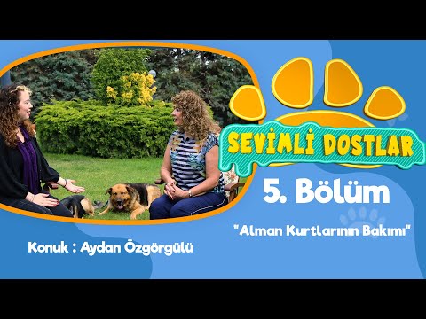 ''Alman Kurtlarının Bakımı'' | SEVİMLİ DOSTLAR