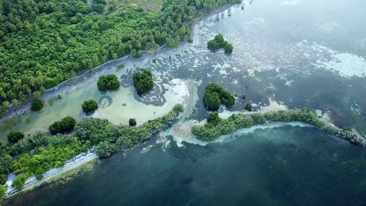 Canoeing in Addu Nature Park - Maldives | Travel 4K - YouTube