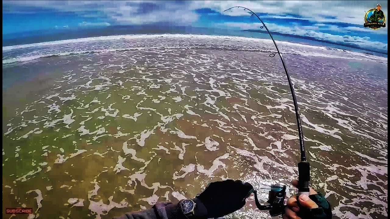 HERMIT CRAB (UMANG) BAIT FOR CATCHING CRESCENT GRUNTER FISH (BUGAONG ...