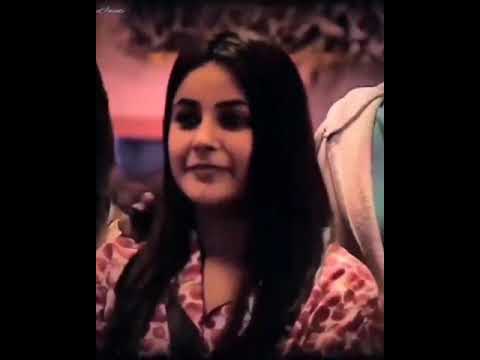 sidnaaz broken but beautiful journey