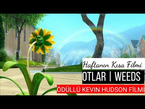 Weeds | Otlar | Walt Disney Studios | Ödüllü Kısa Film |